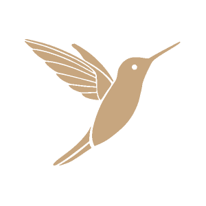 NAC-AEP Programme Directory